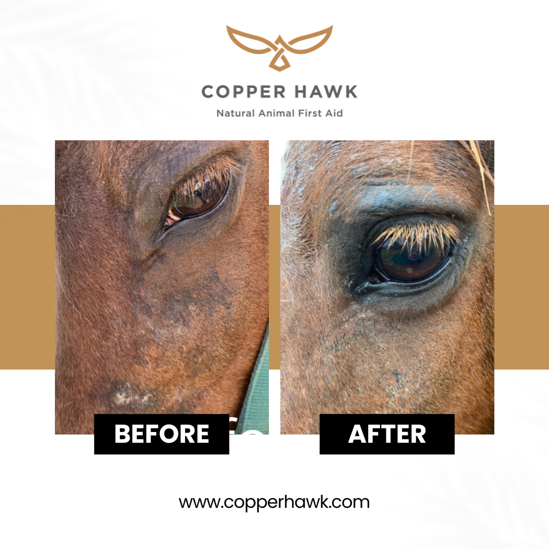Before & After Cases - Copper Hawk