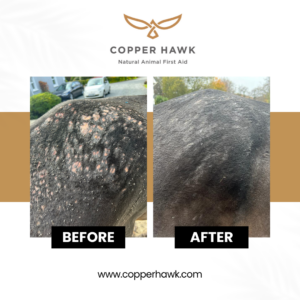 Before & After Cases - Copper Hawk