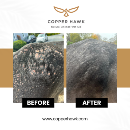 Before & After Cases - Copper Hawk