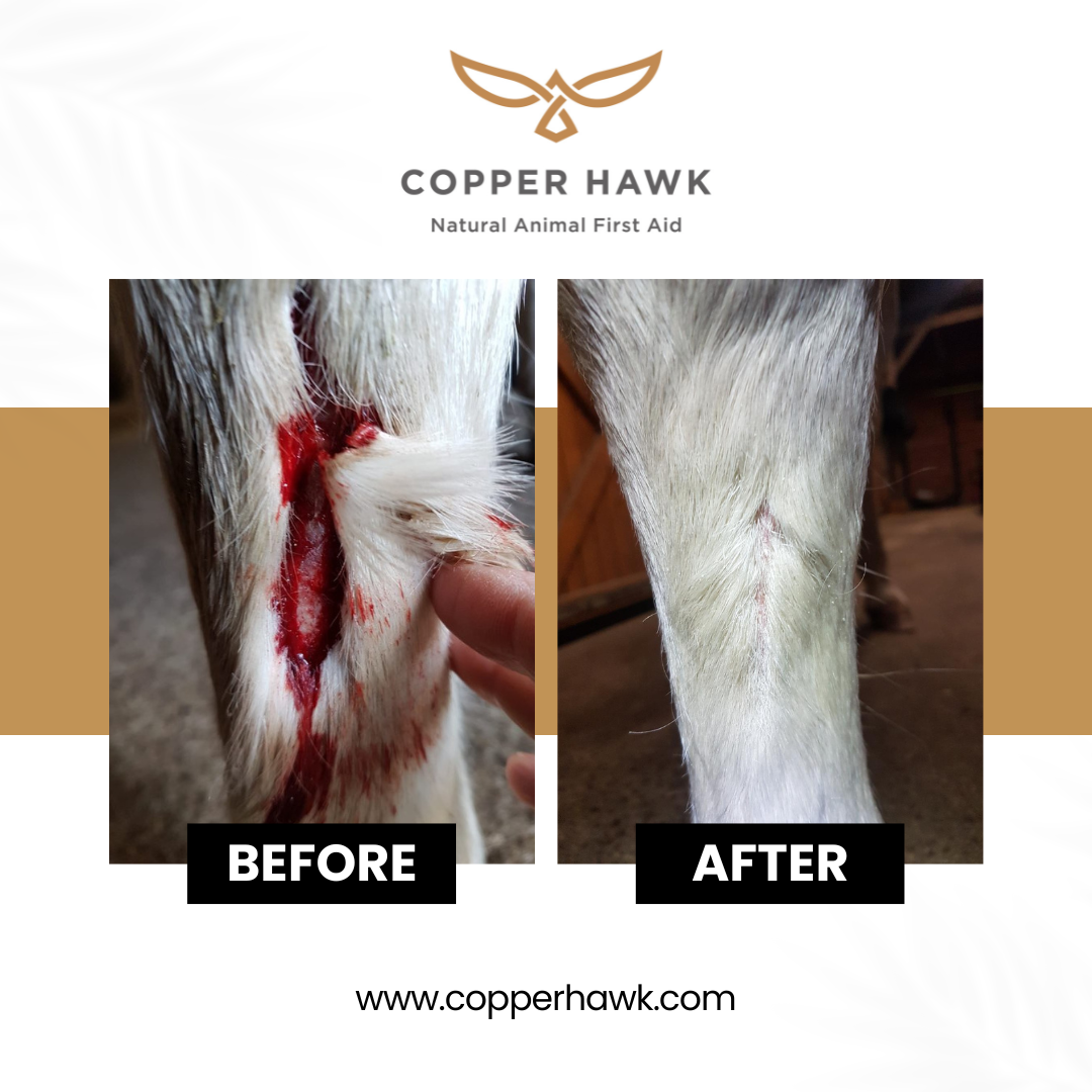 Before & After Cases - Copper Hawk
