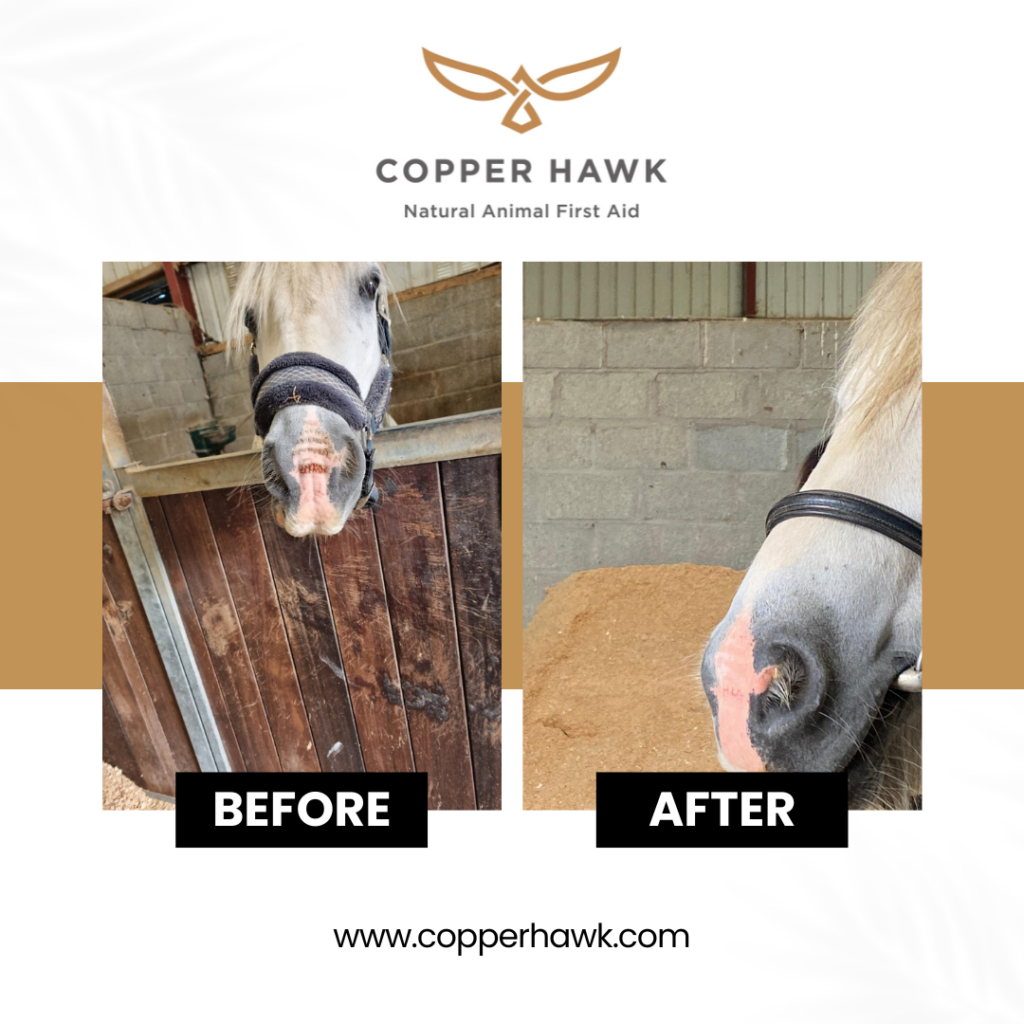 Before & After Cases - Copper Hawk
