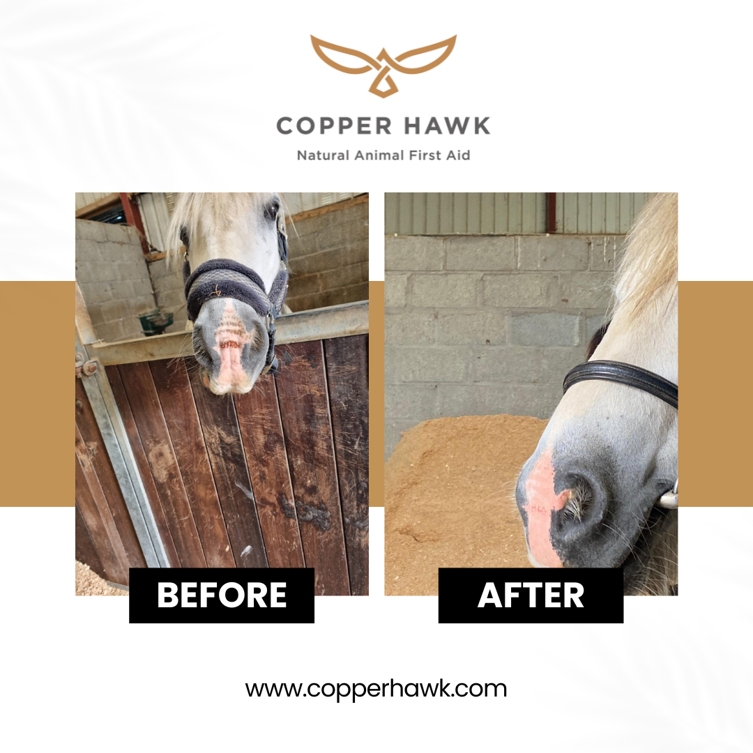 Before & After Cases - Copper Hawk